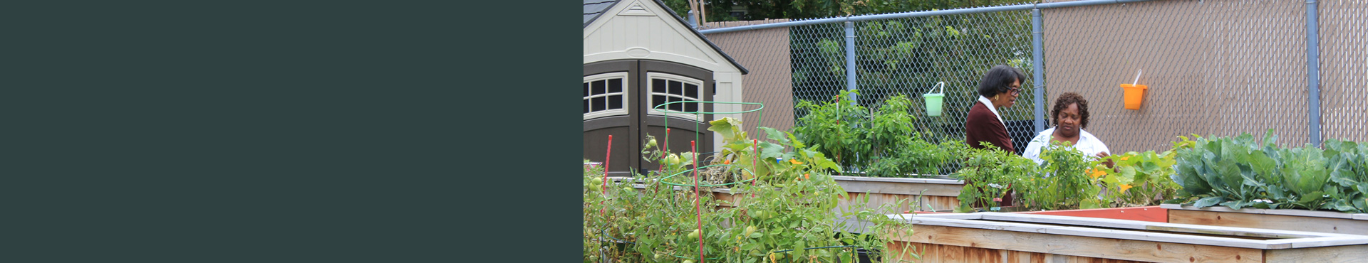 South Shore NDC | Legacy Foundation